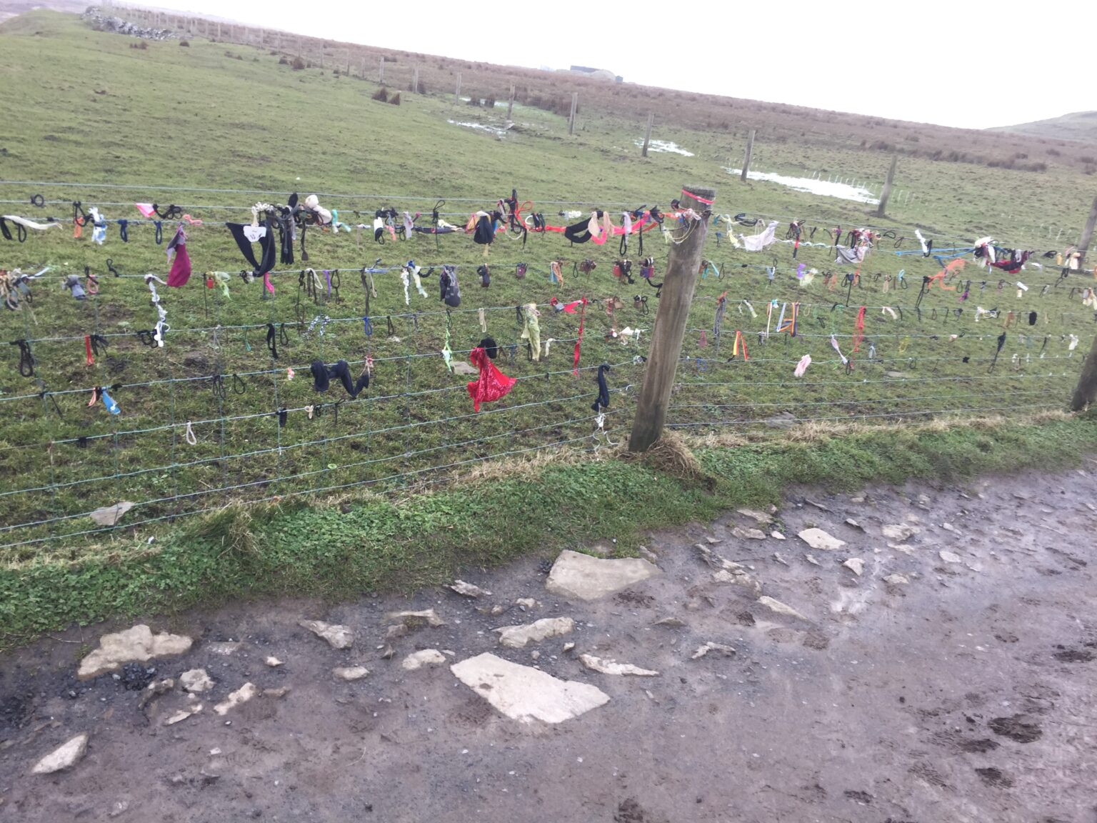 Who am I Really - IFSA