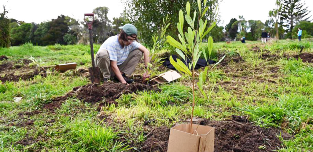 Weaving Sustainability into Academic and Cultural Learning - IFSA Weaving Sustainability into Academic and Cultural Learning - IFSA