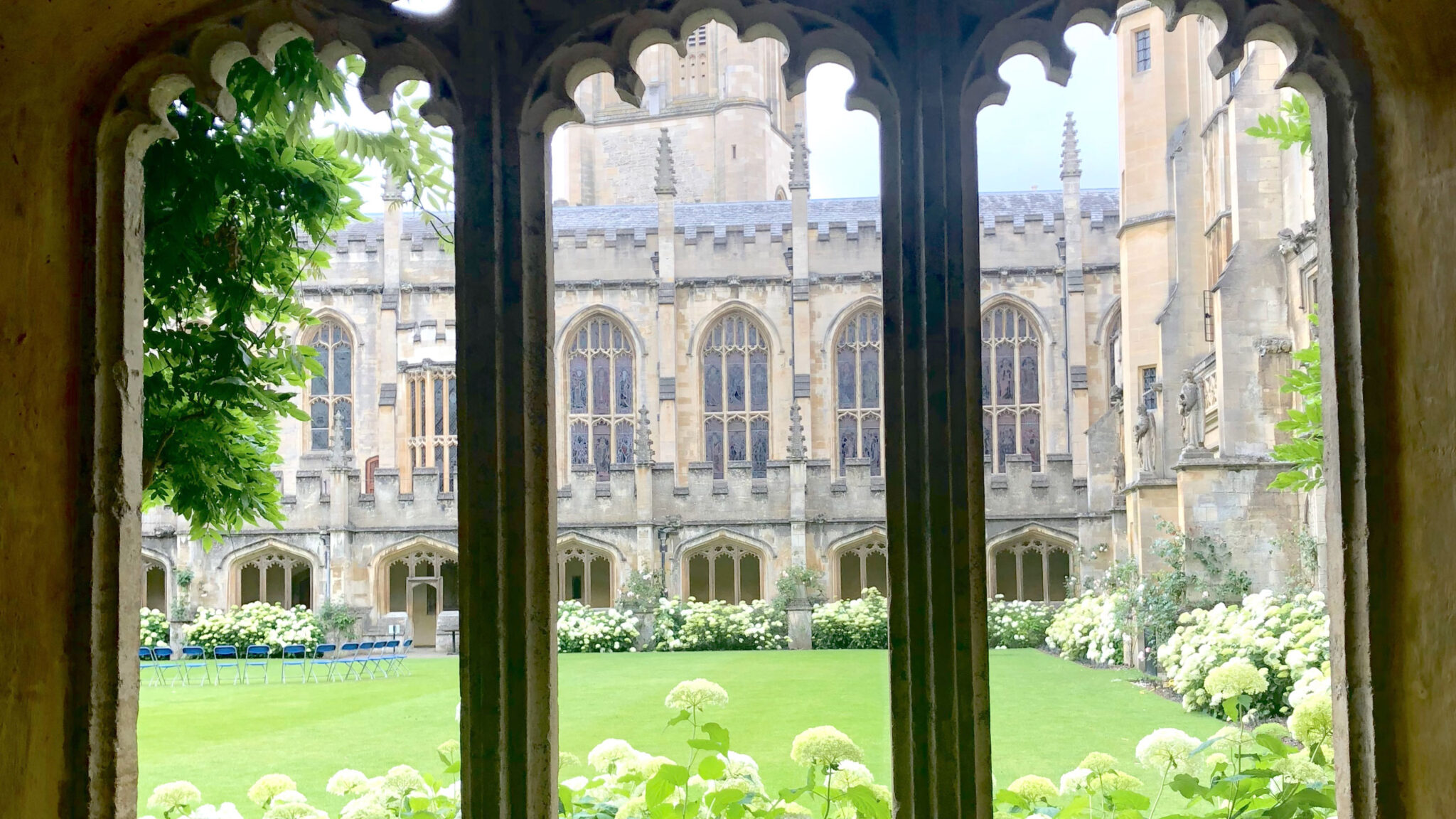 Program Search - IFSA